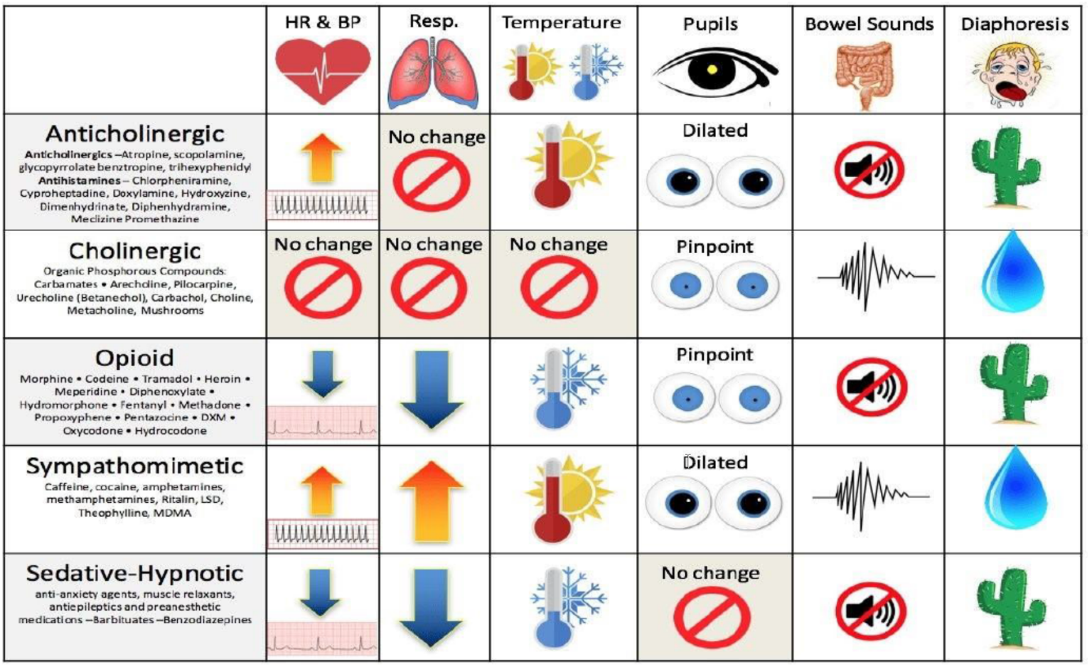 Online zelfstudie toxicologie – Voorschrijftoets